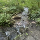 Hackfall Explorer, North Yorkshire, England - 428 Reviews, Map | AllTrails