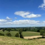 Hackfall Explorer, North Yorkshire, England - 428 Reviews, Map | AllTrails