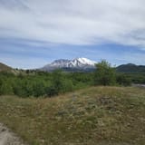 Hummocks Trail, Washington - 1,061 Reviews, Map | AllTrails