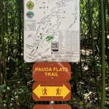 ʻAihualama and Pauoa Flats Trail, Oahu, Hawaii - 1,188 Reviews, Map ...