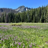 Mt. Ray, High Divide, and South Waldo Loop, Oregon - 3 Reviews, Map ...