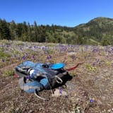 Cone Peak Trail, Oregon - 681 Reviews, Map | AllTrails