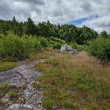 Blue Job Mountain Loop, New Hampshire - 2,248 Reviews, Map | AllTrails
