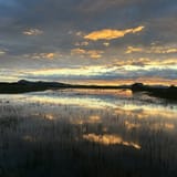 Padilla Bay Trail, Washington - 669 Reviews, Map | AllTrails