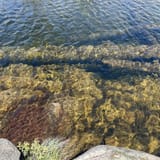 Kibbie Lake Trail, California - 148 Reviews, Map | AllTrails