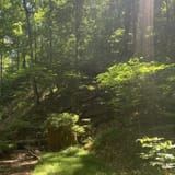 Patton Cave via Grubb Ridge and Hayes Trail, Indiana - 766 Reviews, Map ...