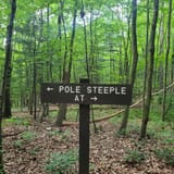 Pole Steeple Loop, Pennsylvania - 869 Reviews, Map | AllTrails