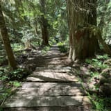 Rampart Ridge Loop, Washington - 2,565 Reviews, Map | AllTrails