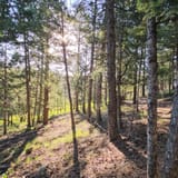Independence Mountain Trail, Colorado - 5,221 Reviews, Map | AllTrails