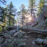 Independence Mountain Trail, Colorado - 5,221 Reviews, Map | AllTrails