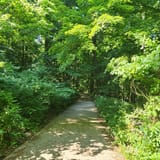Cornish Estate Trail, New York - 1,793 Reviews, Map | AllTrails