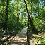 Cornish Estate Trail, New York - 1,793 Reviews, Map | AllTrails