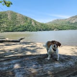 Cornish Estate Trail, New York - 1,793 Reviews, Map | AllTrails