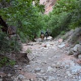 Spring Creek Canyon, Utah - 1,375 Reviews, Map | AllTrails