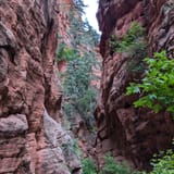 Spring Creek Canyon, Utah - 1,391 Reviews, Map | AllTrails