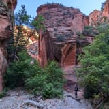 Spring Creek Canyon, Utah - 1,391 Reviews, Map | AllTrails