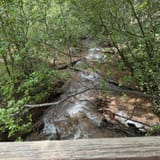 Seven Bridges Trail, Colorado - 7,711 Reviews, Map | AllTrails