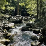 Mouse Creek Falls via Big Creek Trail, Tennessee - 2,898 Reviews, Map ...
