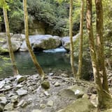 Mouse Creek Falls via Big Creek Trail, Tennessee - 2,898 Reviews, Map ...