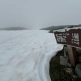 Mount Roberts Trail, Alaska - 456 Reviews, Map | AllTrails