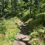 Sharp Top Trail, Virginia - 3,021 Reviews, Map | AllTrails