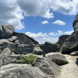 Sharp Top Trail, Virginia - 3,021 Reviews, Map | AllTrails