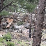 Keyhole Sink Trail, Arizona - 380 Reviews, Map | AllTrails