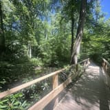 John Rock Trail Loop, North Carolina - 2,544 Reviews, Map | AllTrails