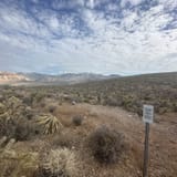 Fossil Ridge Loop, Nevada - 831 Reviews, Map | AllTrails