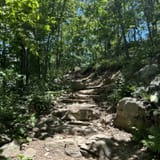 Sharp Top Trail, Virginia - 3,021 Reviews, Map | AllTrails