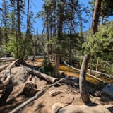 Adams Falls Trail, Colorado - 3,210 Reviews, Map | AllTrails