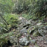 Lost Cove Trail, North Carolina - 212 Reviews, Map | AllTrails
