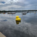 Lake Harriet Loop Trail, Minnesota - 1,342 Reviews, Map | AllTrails