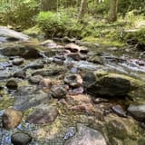 Chestnut Ridge Heritage Preserve Trail, South Carolina - 1,608 Reviews ...