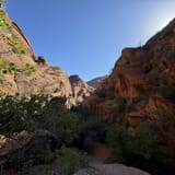 Red Reef Trail, Utah - 2,767 Reviews, Map | AllTrails