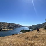 Rowena Plateau Trail, Oregon - 845 Reviews, Map | AllTrails