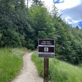 Poo Poo Point Trail, Washington - 6,680 Reviews, Map | AllTrails