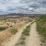 Tom Cooke and Steamboat Ditch Loop, Nevada - 1,287 Reviews, Map | AllTrails