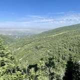 Big Rock Via Elephant Rock Trail, Utah - 2,590 Reviews, Map | AllTrails