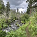 Government Springs 95A, Arizona - 595 Reviews, Map | AllTrails