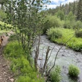 Government Springs 95A, Arizona - 595 Reviews, Map | AllTrails