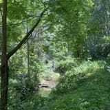 Hard Times Loop, North Carolina - 1,640 Reviews, Map | AllTrails