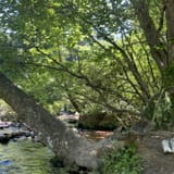 Hard Times Loop, North Carolina - 1,538 Reviews, Map | AllTrails