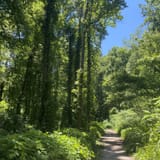 Hard Times Loop, North Carolina - 1,641 Reviews, Map | AllTrails