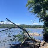 Blockhouse Point Loop Trail, Maryland - 1,124 Reviews, Map | AllTrails