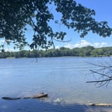 Blockhouse Point Loop Trail, Maryland - 1,124 Reviews, Map | AllTrails