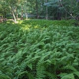 Core Creek Park Trail, Pennsylvania - 1,655 Reviews, Map | AllTrails