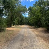 The Meadows Slough Trail, California - 449 Reviews, Map | AllTrails