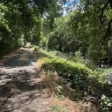 The Meadows Slough Trail, California - 449 Reviews, Map | AllTrails