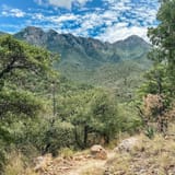 Madera Canyon Nature Trail, Arizona - 1,421 Reviews, Map | AllTrails